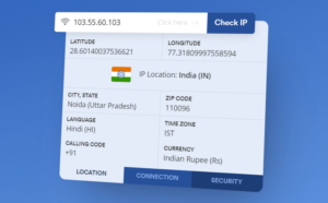 Build IP Lookup Website using ipapi with PHP | WD